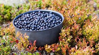 Résidence La Rivière, location vacances Chamonix - Haute-Savoie ...